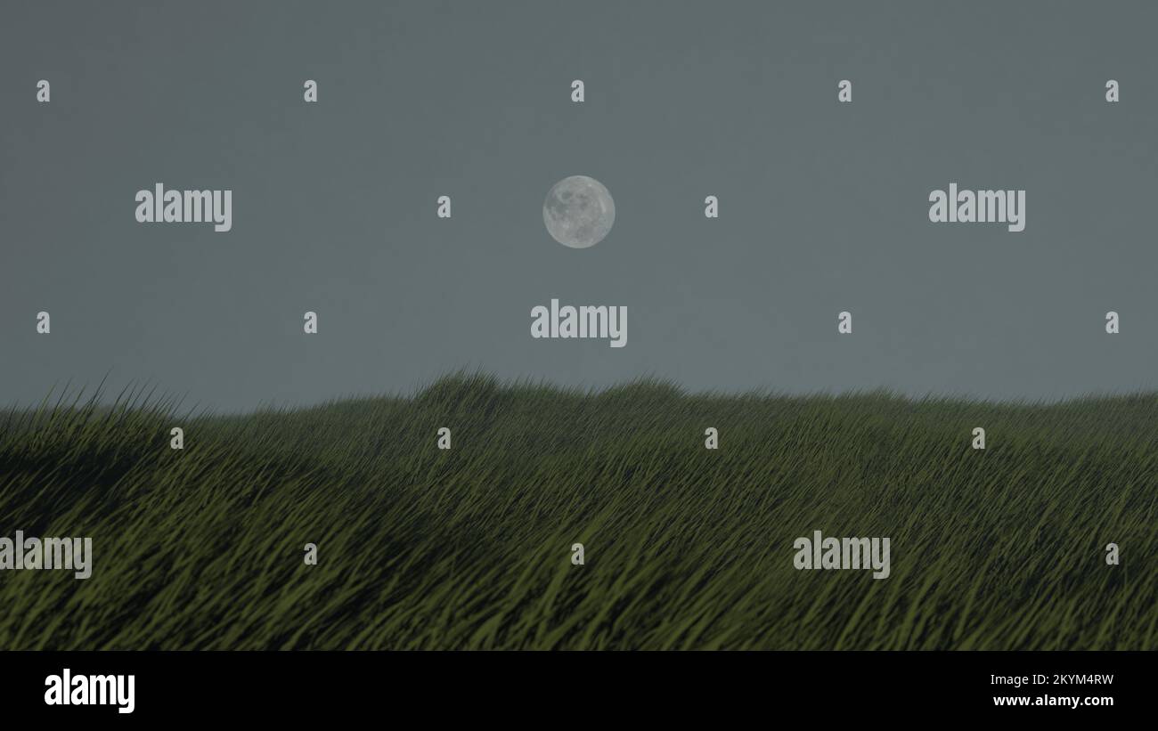 Sci-Fi surreal dreamy landscape with full moon and grass in misty swamp ...