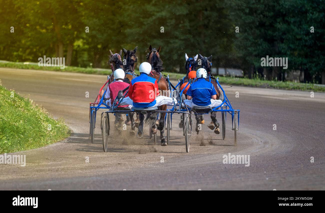 Jockey and horse. Racing horses competing with each other. Race in ...