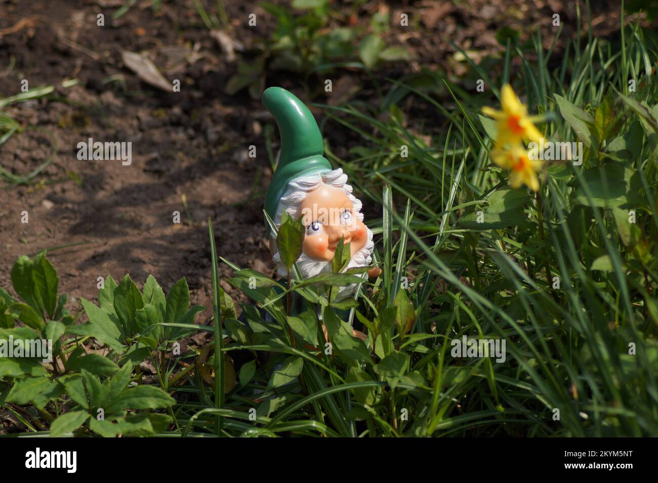 Three little dwarfs hi-res stock photography and images - Alamy