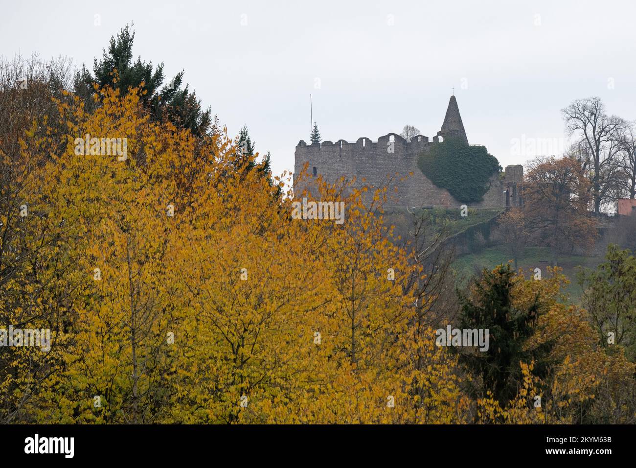 Lindenfels, Germany. 01st Dec, 2022. In the forest in front of ...