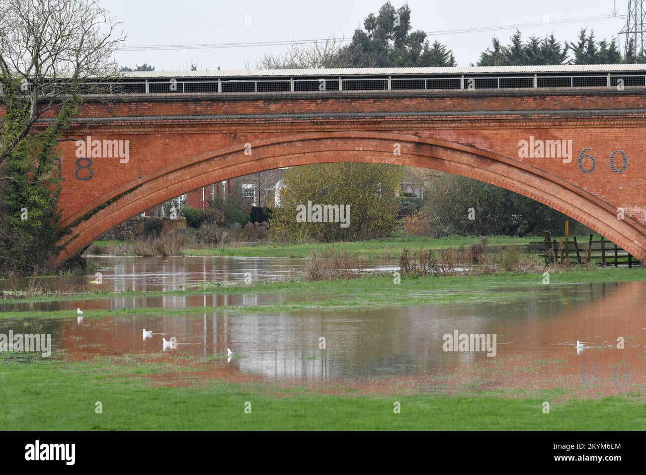 Flooding on the river soar near mountsorrel Stock Photo - Alamy