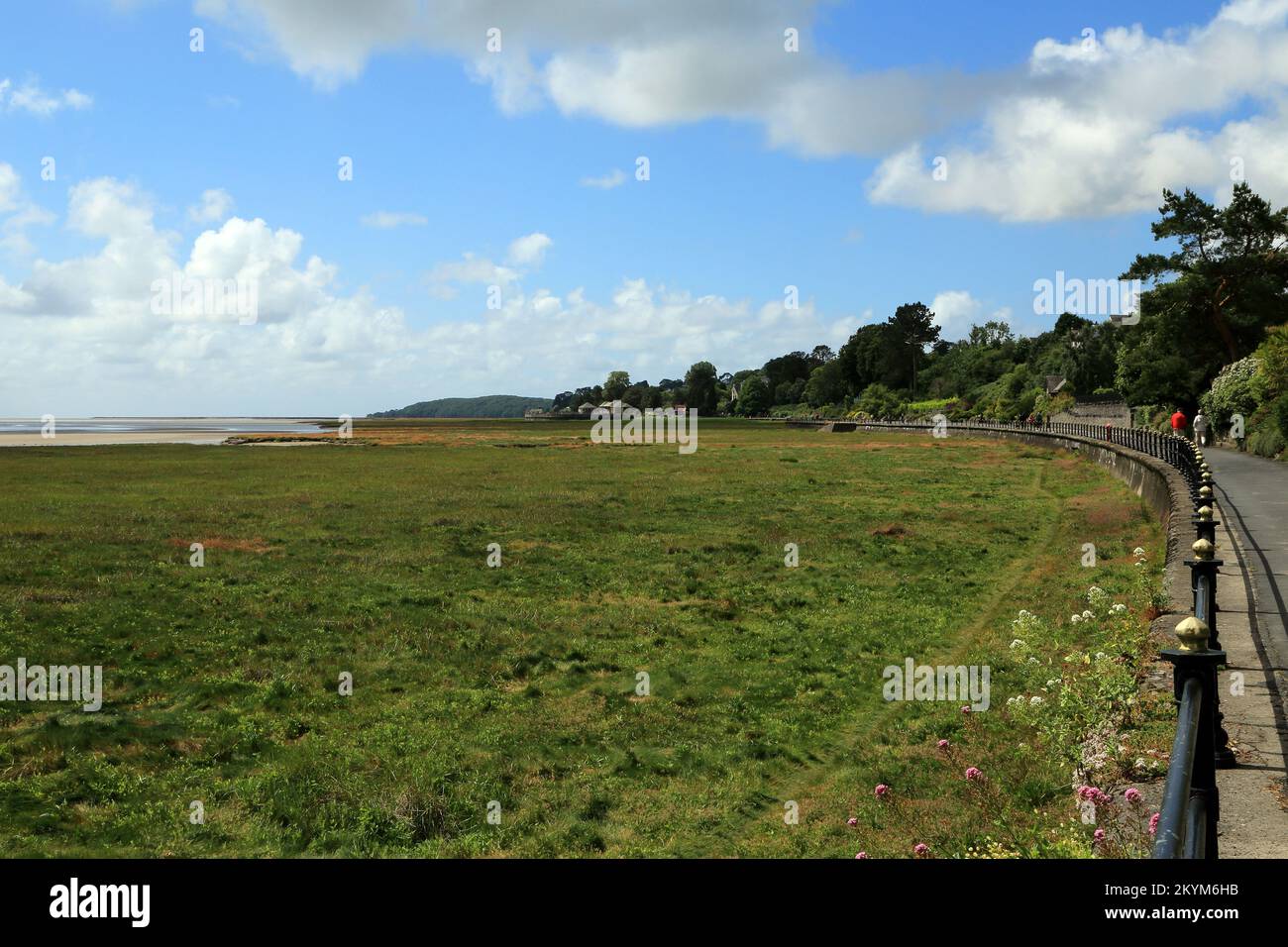 View along coastal footpath towards Grange Over Sands at Morecambe Bay ...