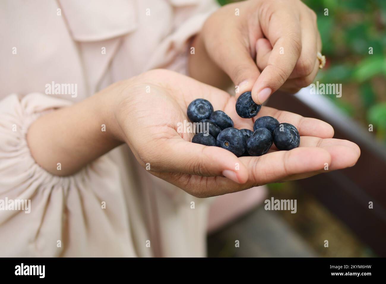 young women eating blue berry fruit Stock Photo - Alamy