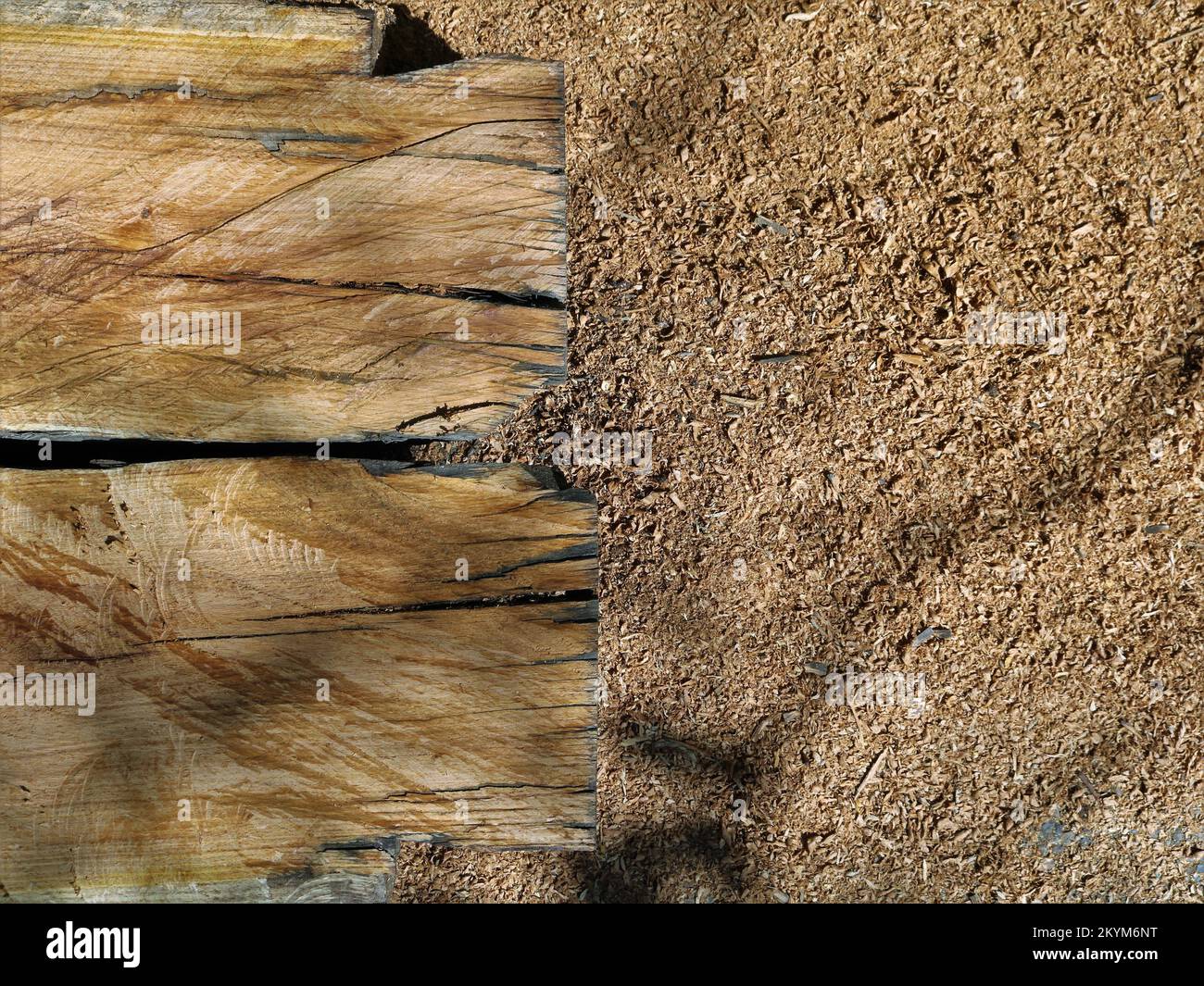 natural brown background of an old dry wood texture in the foreground ...