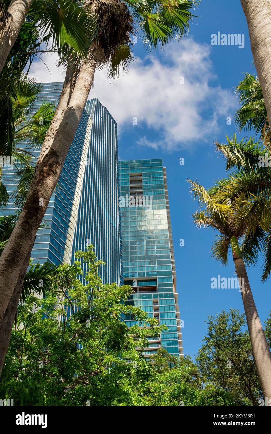 Views of modern multi-storey glass buildings behind the trees from ...