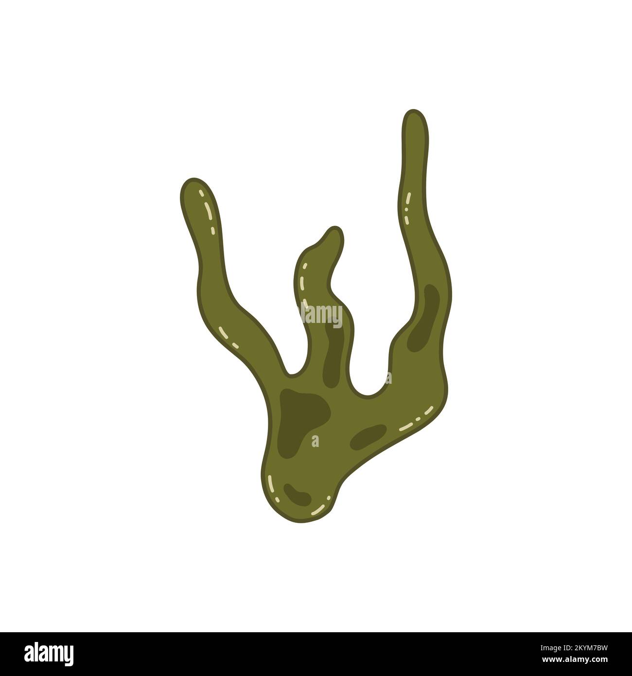 Algae reef hawaii Cut Out Stock Images & Pictures - Alamy