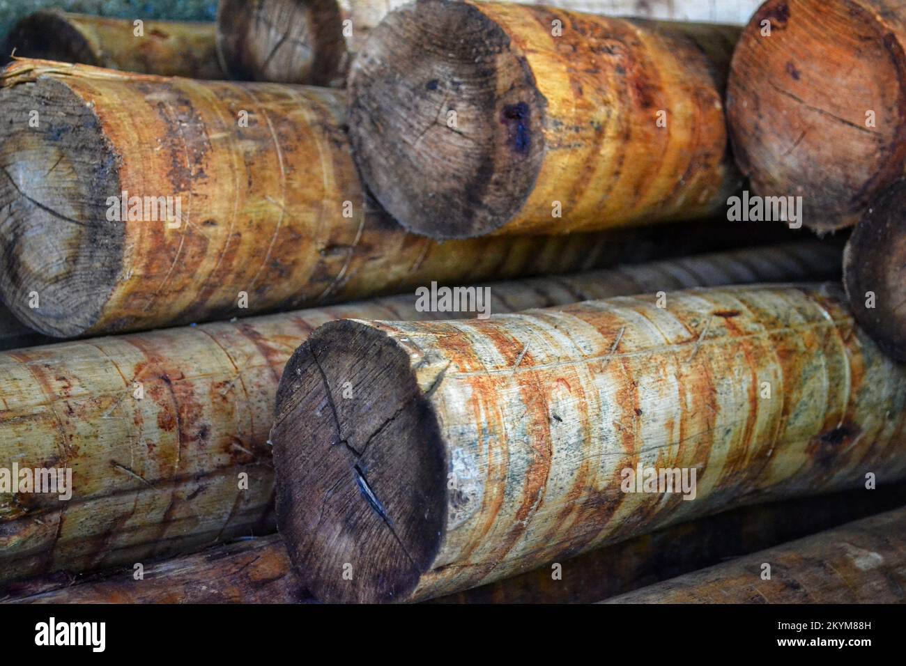 Toras de eucalipto tratado Stock Photo - Alamy