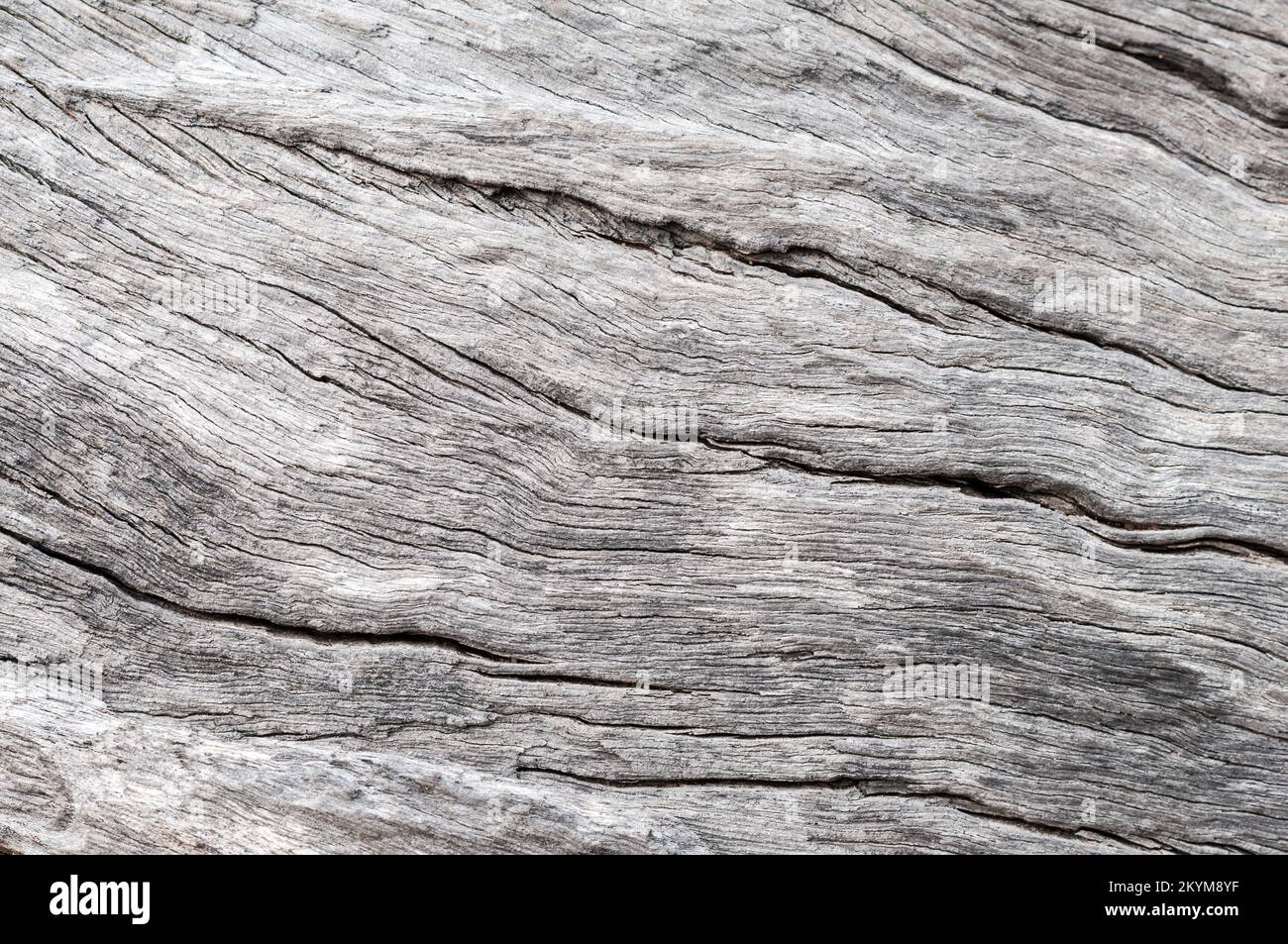 Rustic gray wood background with structural effect Stock Photo - Alamy