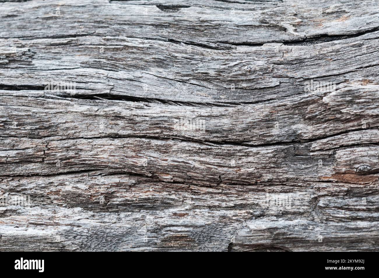 Rustic gray wood background with structural effect Stock Photo - Alamy