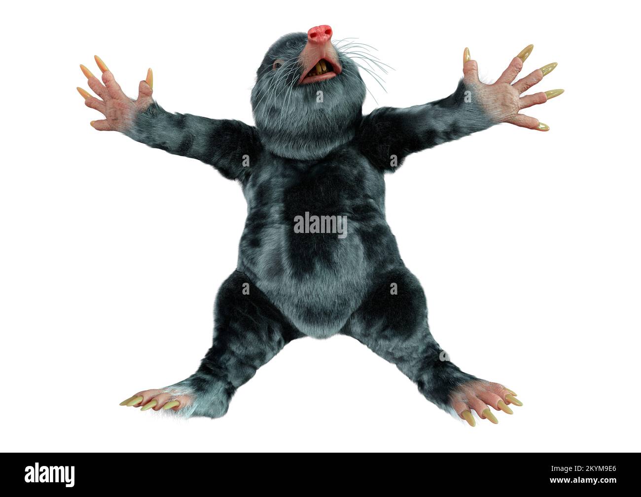 3D rendering of a mole animal isolated on white background Stock Photo ...