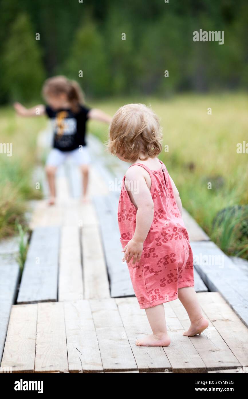 Little children playing on wooden walkways on the forest swamp Stock ...