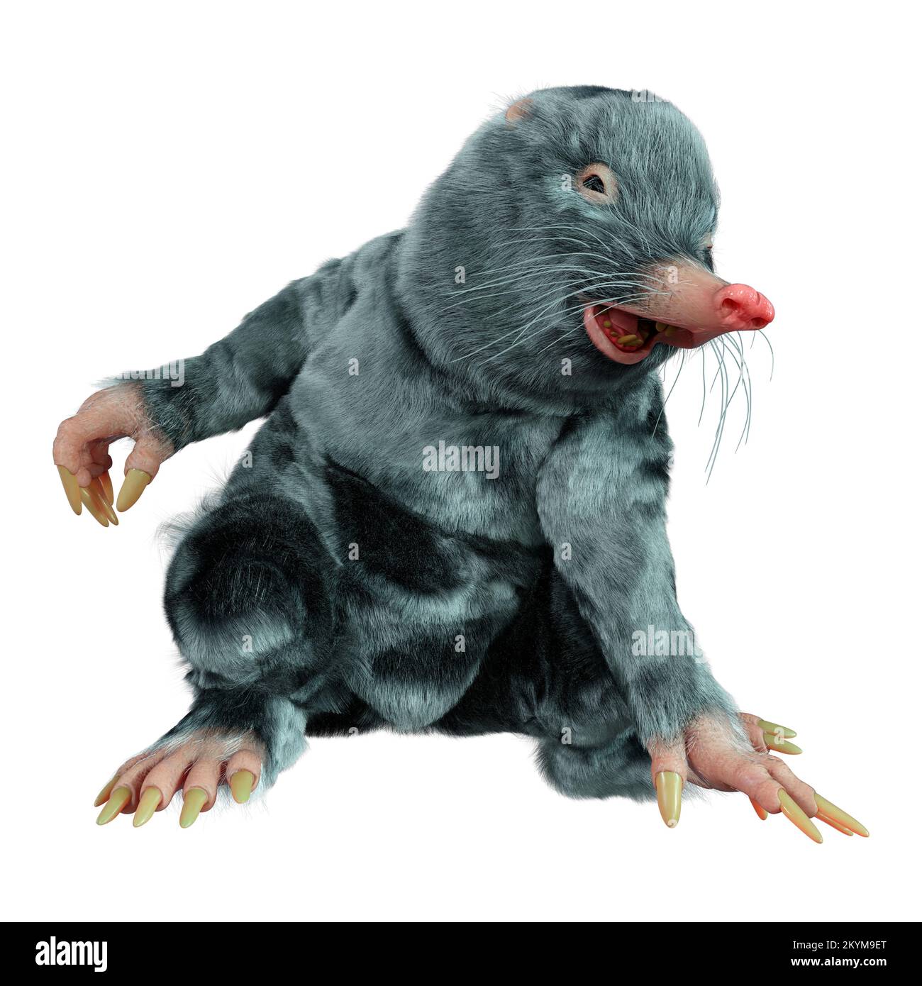 3D rendering of a mole animal isolated on white background Stock Photo ...