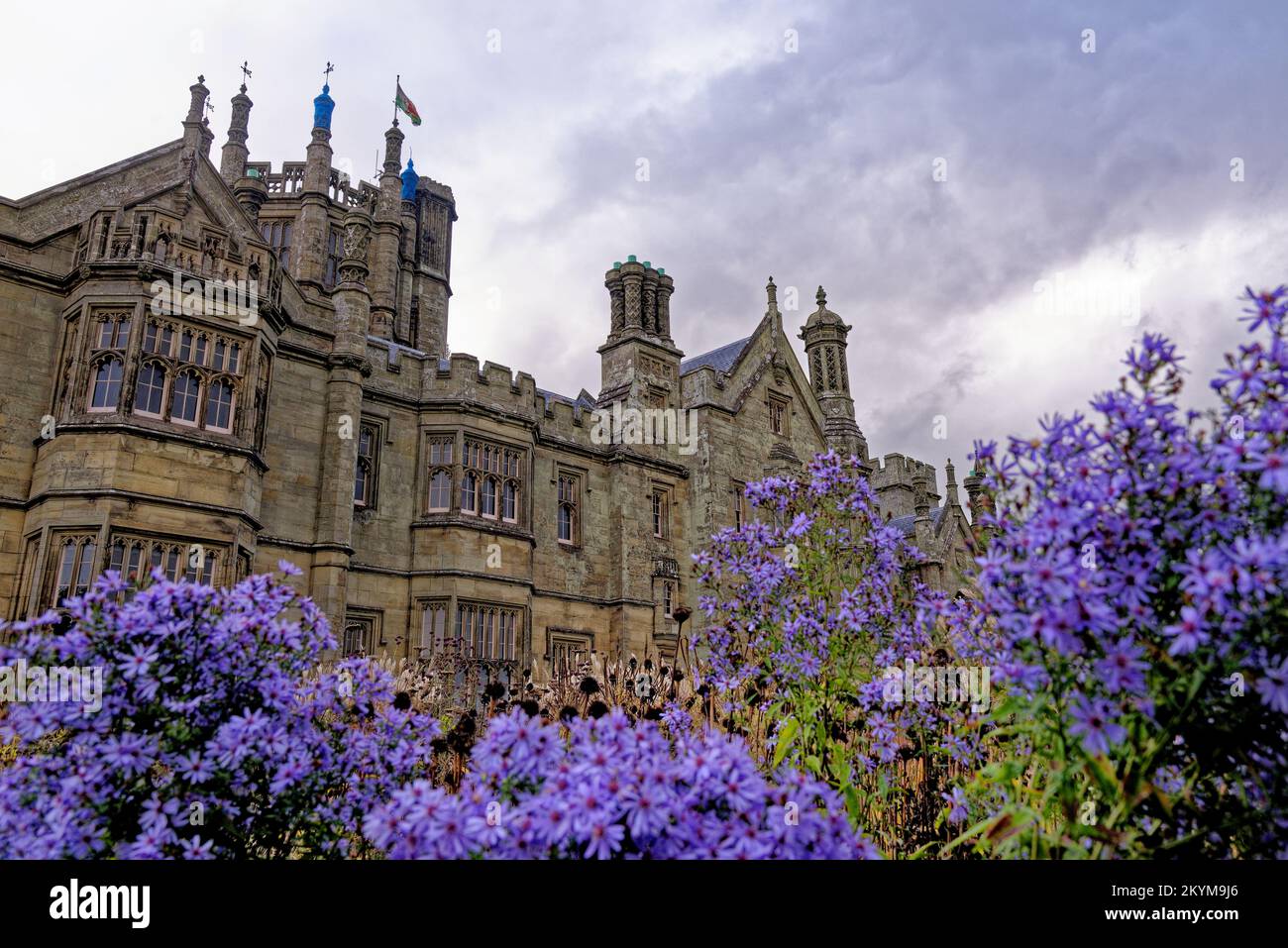 Gothic style Victorian mansion house. Tudor Gothic Mansion elevation ...