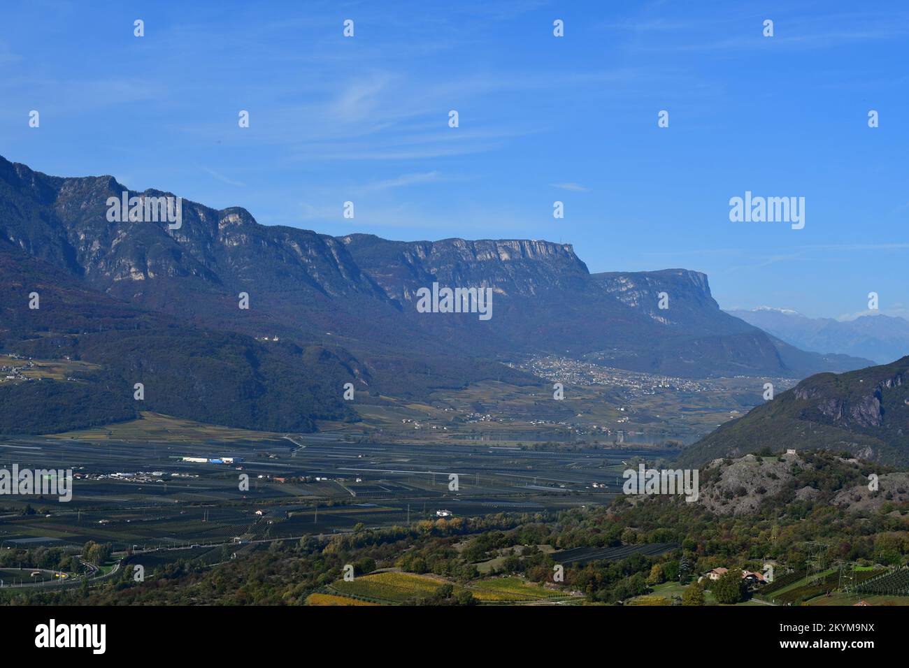 Mendelkamm hi-res stock photography and images - Alamy