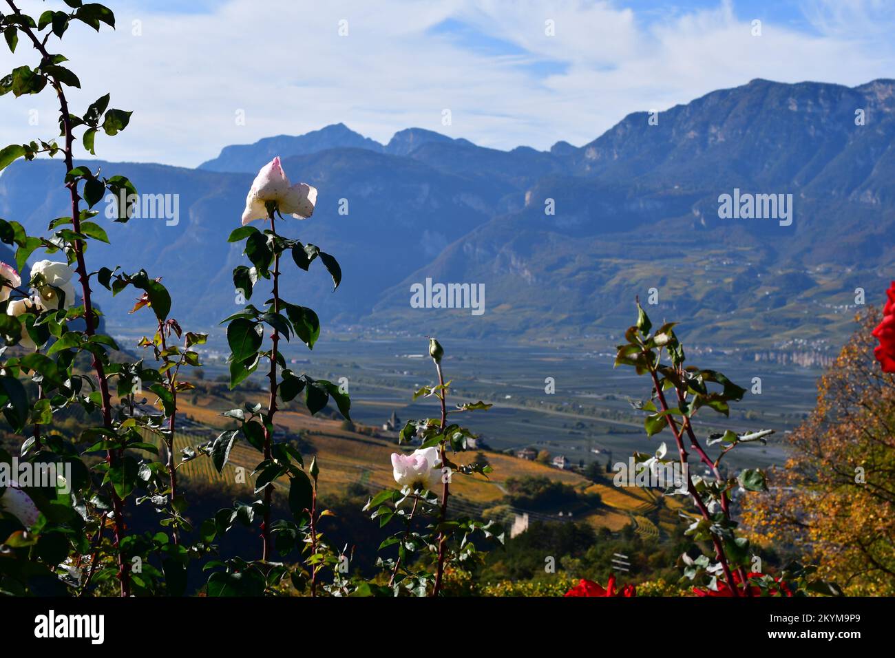 Weinberge in südtirol hi-res stock photography and images - Alamy