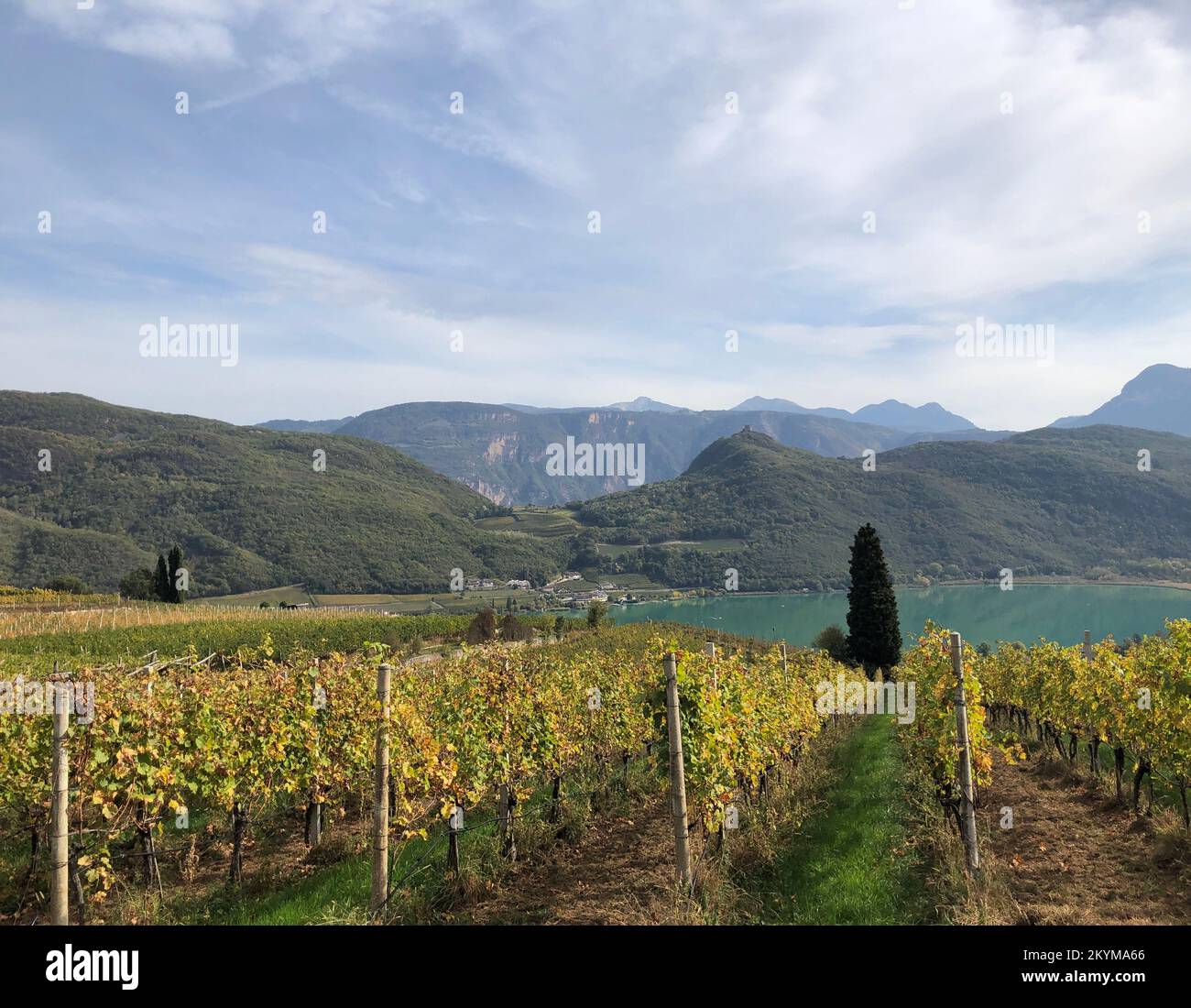 Lago di Caldaro Stock Photo - Alamy