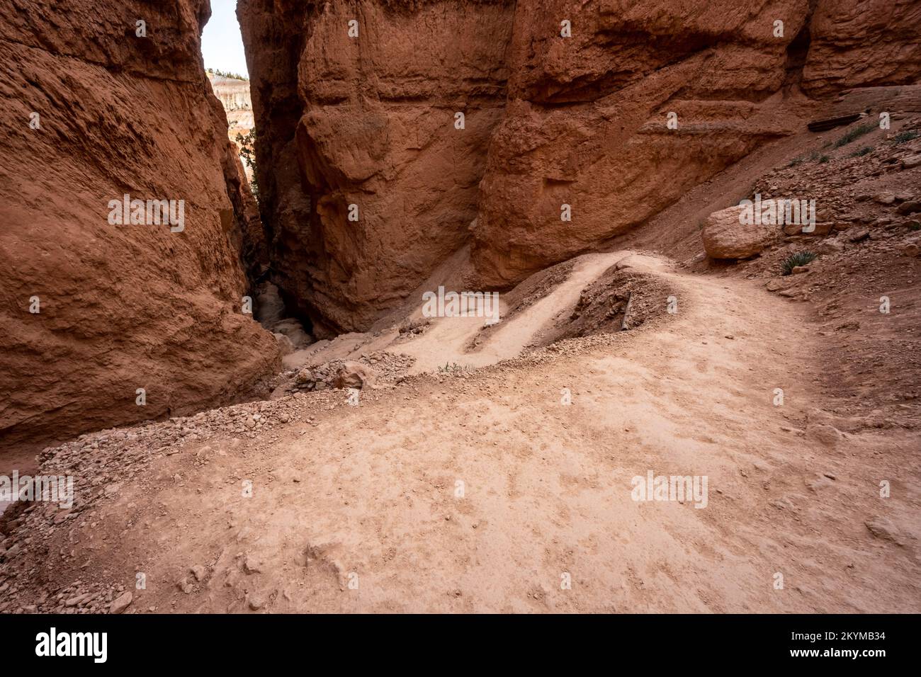 Tight Switchbacks Head Down into Wall Street in Bryce Canyon National ...