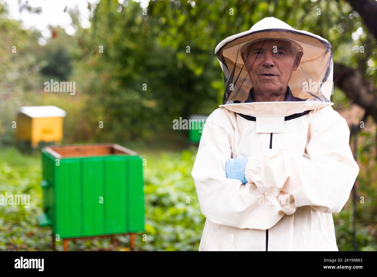 Old male hiver in bee yard Stock Photo - Alamy