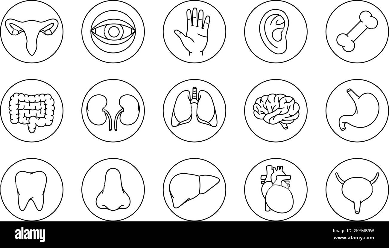Human organs icons set. Brain, tooth, ear, intestines, stomach, nose ...