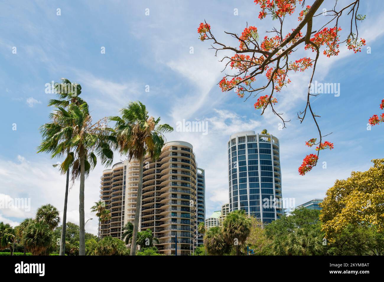 Views of multi-storey condos from below with trees at Miami, Florida ...