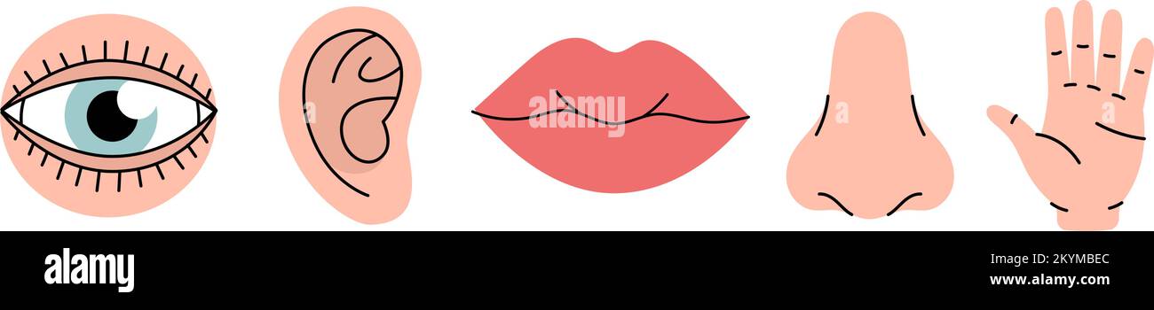 Set of five human senses. Vision, smell, hearing, touch, taste icons ...