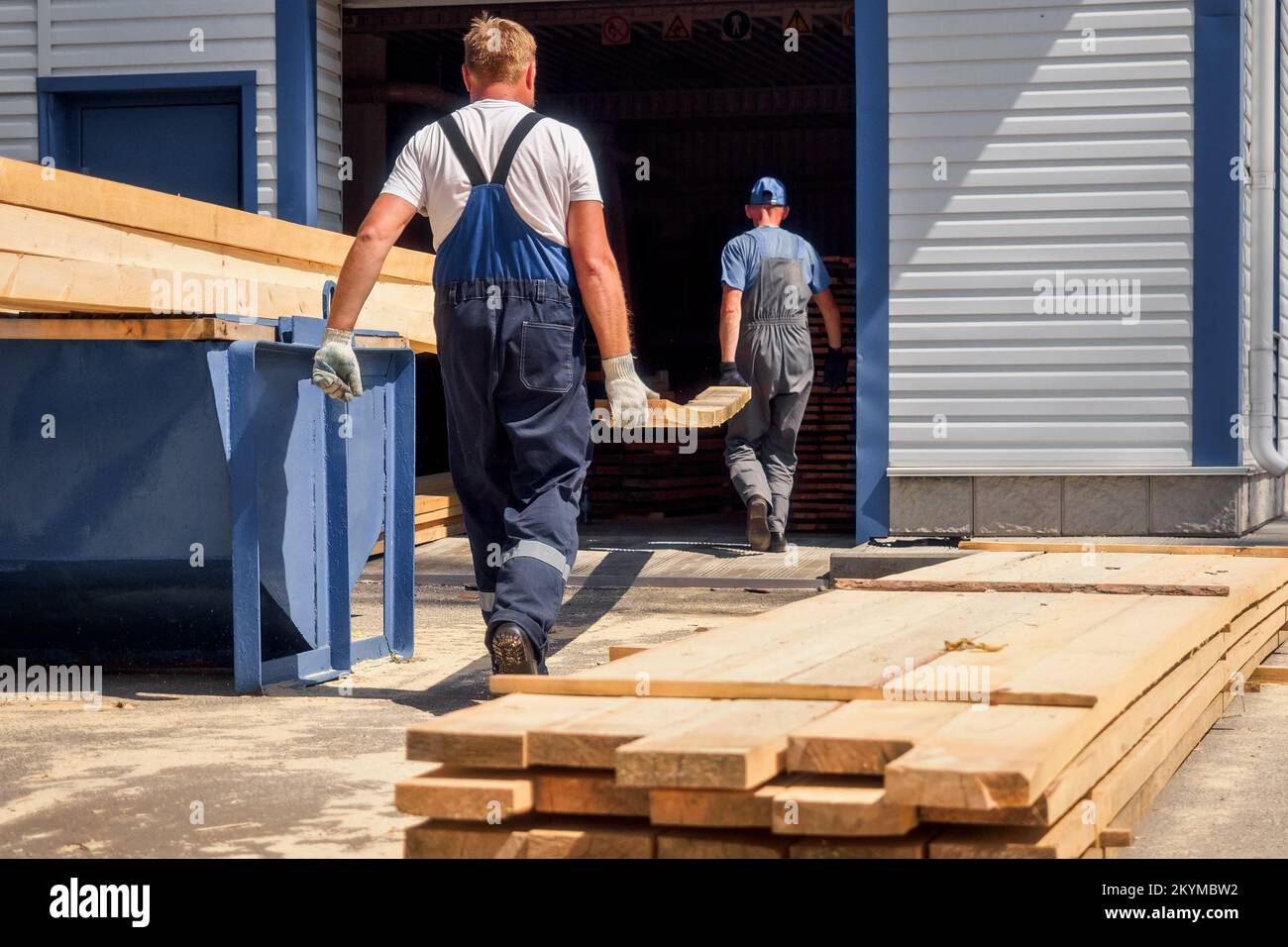 Two workers wear wooden planks on sawmill or in carpentry shop ...