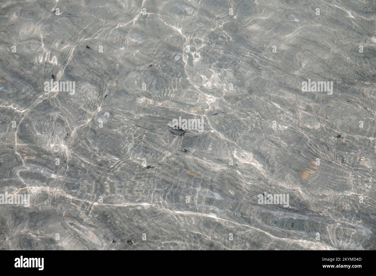 The seabed in clear water on the shore of the Persian Gulf Stock Photo ...