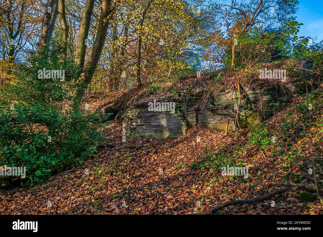 Bolehill sheffield hi-res stock photography and images - Alamy
