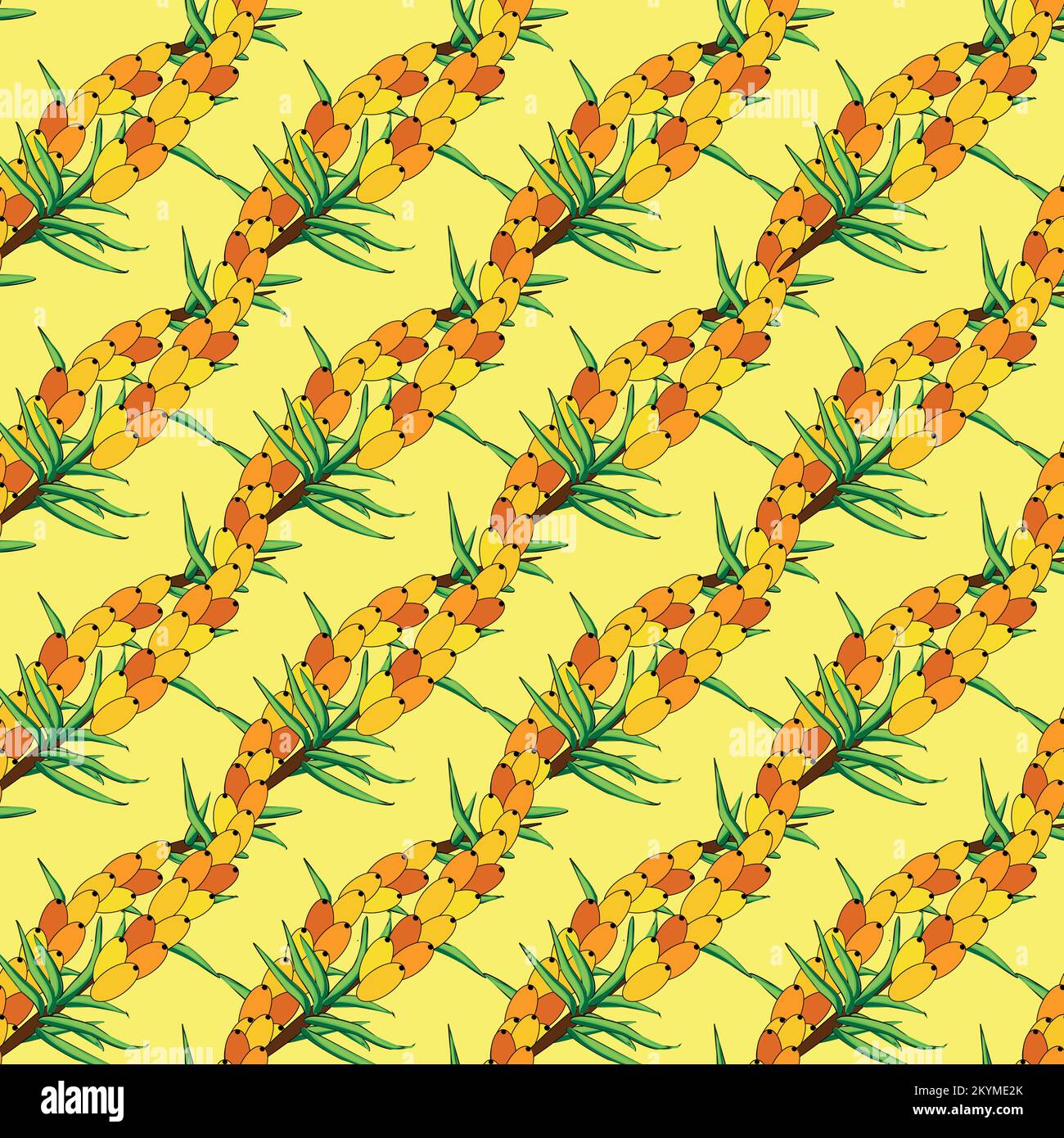 Sea buckthorn seamless pattern. Twigs with berries and leaves. Template ...