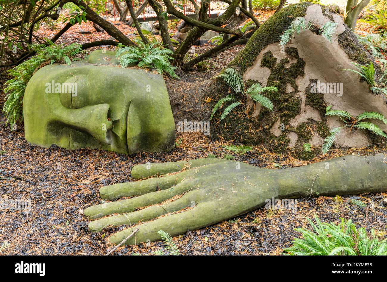 Moss lady hi-res stock photography and images - Alamy