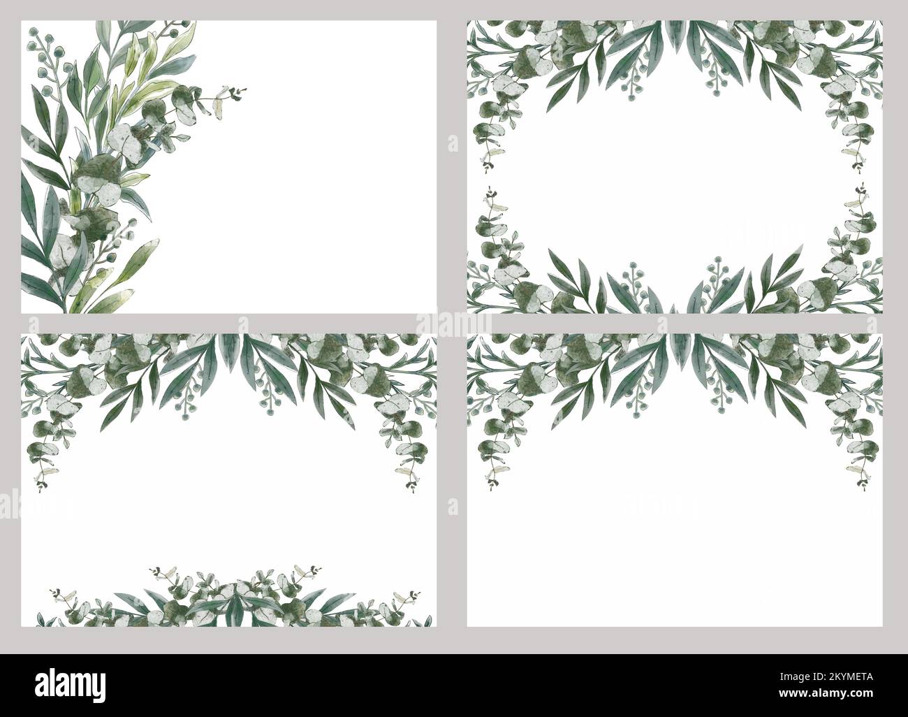 Eucalyptus greenery leaves hi-res stock photography and images - Alamy