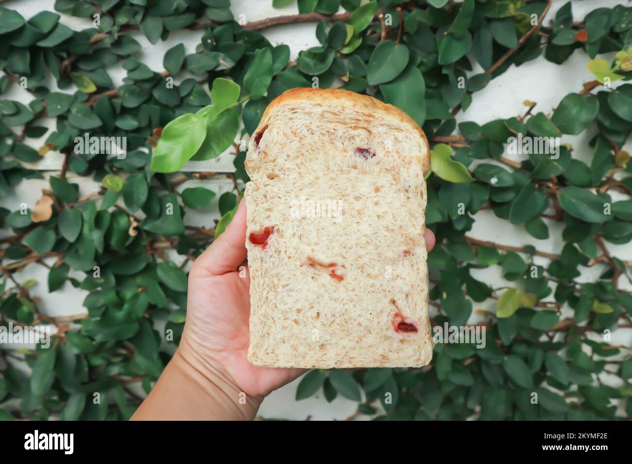 bread , whole wheat bread or nut bread or loaf of bread or cut bread ...