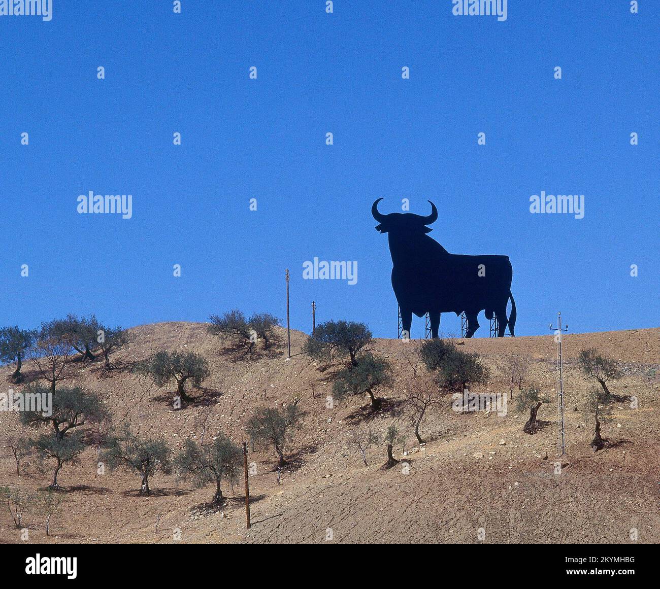 SILUETA DEL TORO DE OSBORNE TIPICA DEL PAISAJE ESPAÑOL Stock Photo - Alamy