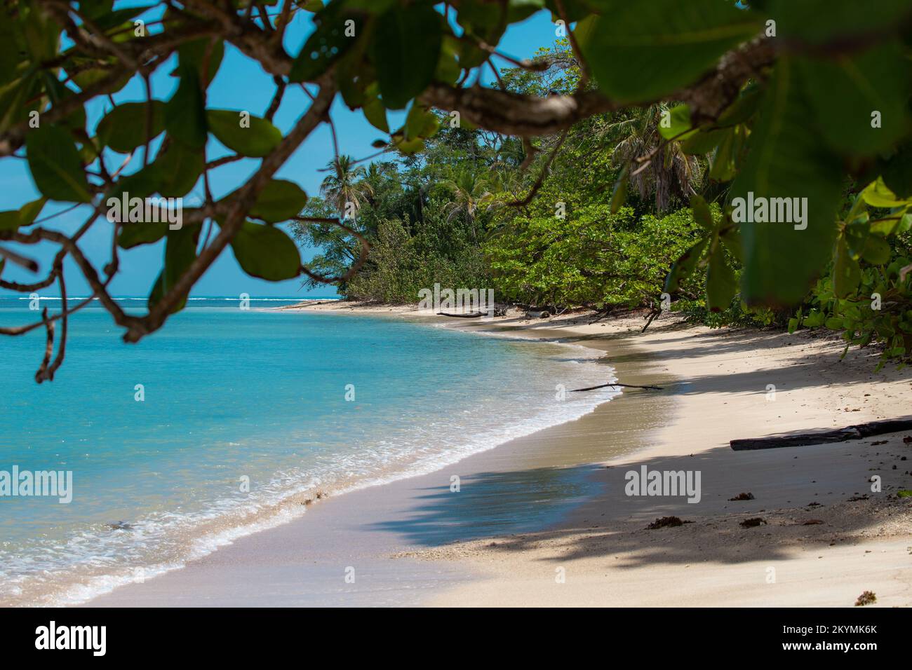 A tropical white sand beach in Cahuita National Park. On the Caribbean ...