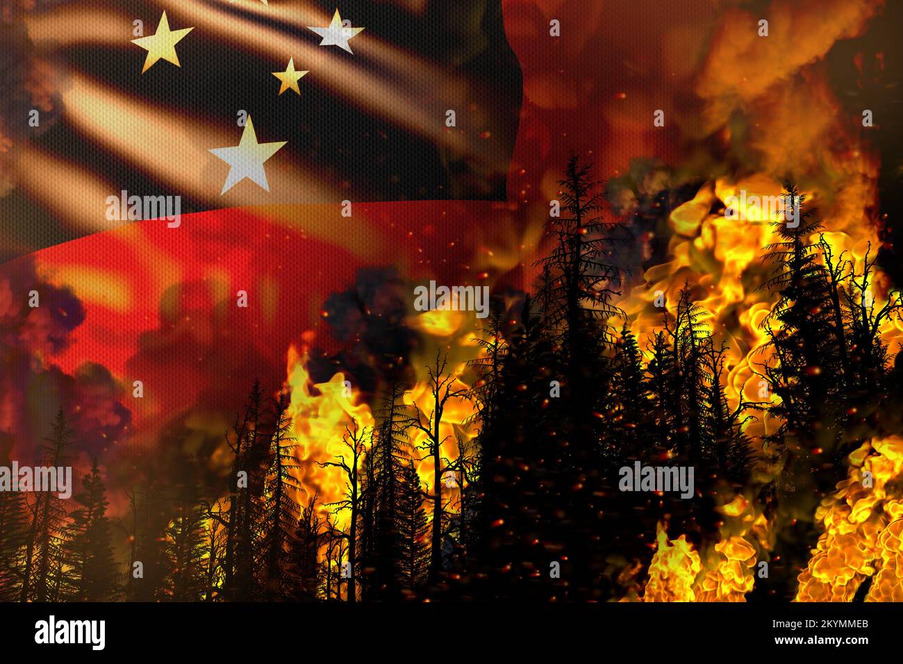 Forest fire natural disaster concept - infernal fire in the trees on ...