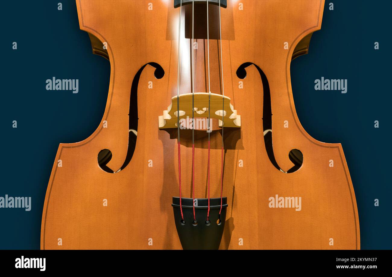 Closeup of timber musical shiny contrabass prepared for performing ...