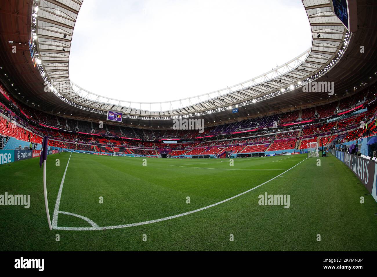 1st December 2022; Ahmed bin Ali Stadium, Al Rayyan, Qatar; FIFA World ...