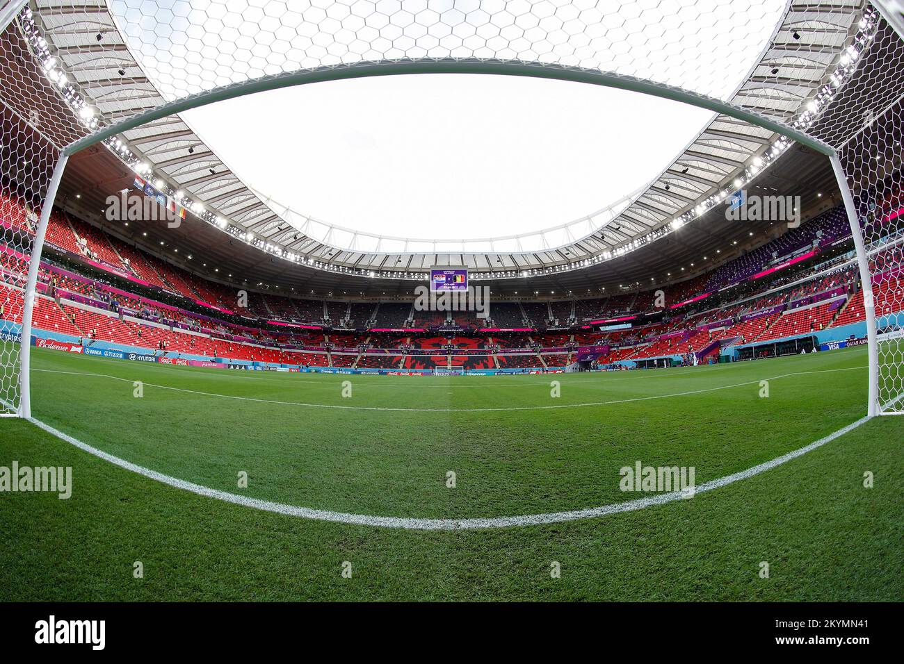 1st December 2022; Ahmed bin Ali Stadium, Al Rayyan, Qatar; FIFA World ...