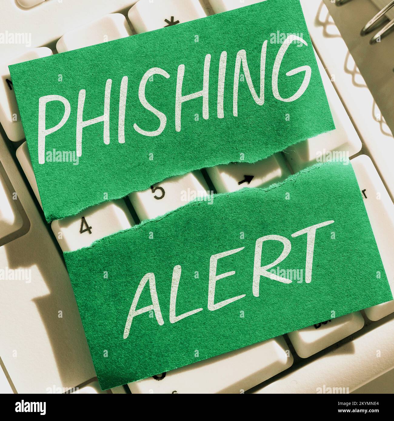 Sign displaying Phishing Alert. Business concept aware to fraudulent ...