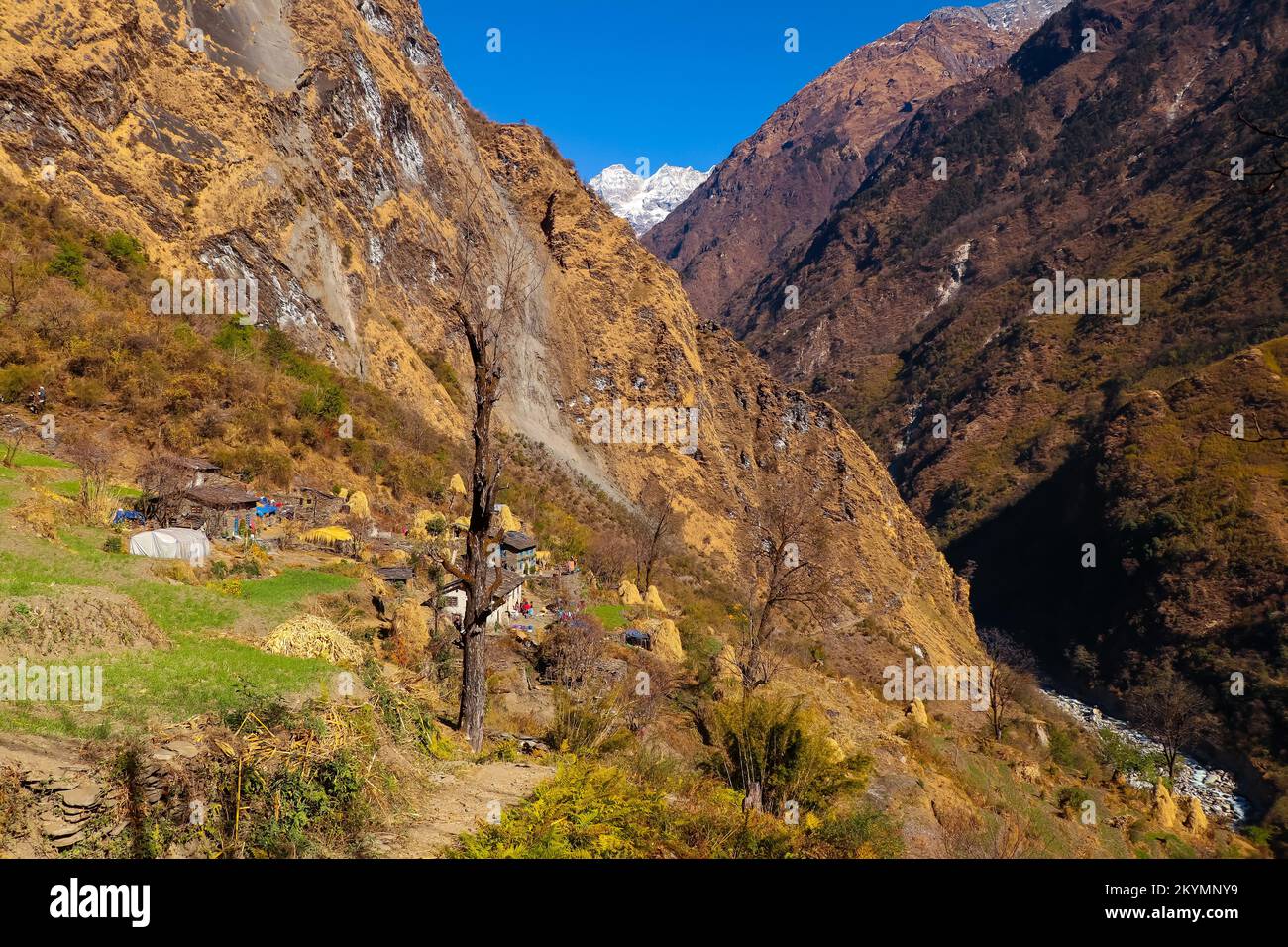 Nepal Village Tourism for Trekking in Api Base Camp Api HImal Trekking ...