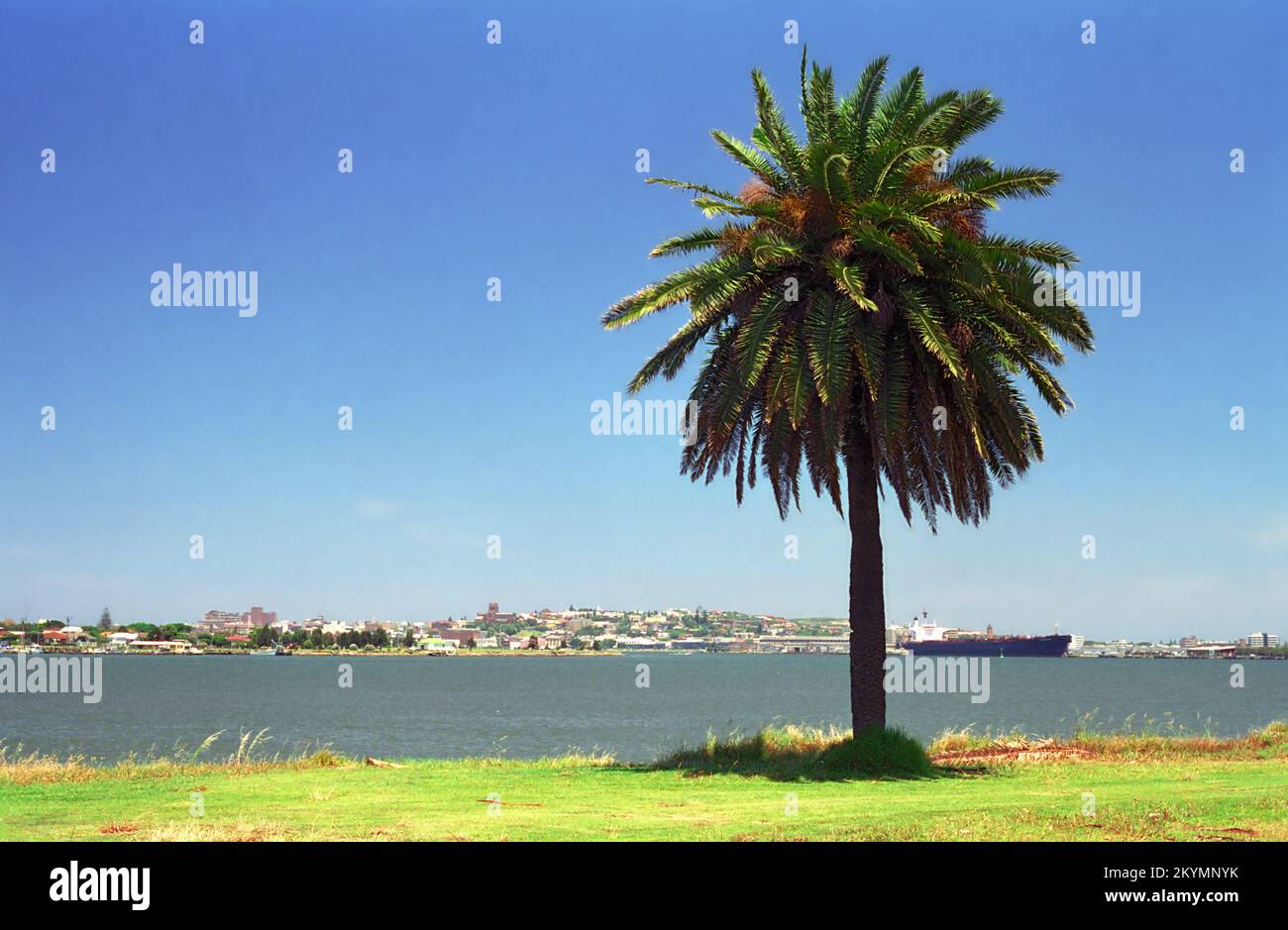 Newcastle from Walsh Point Reserve, Kooragang Island, Hunter River, New ...