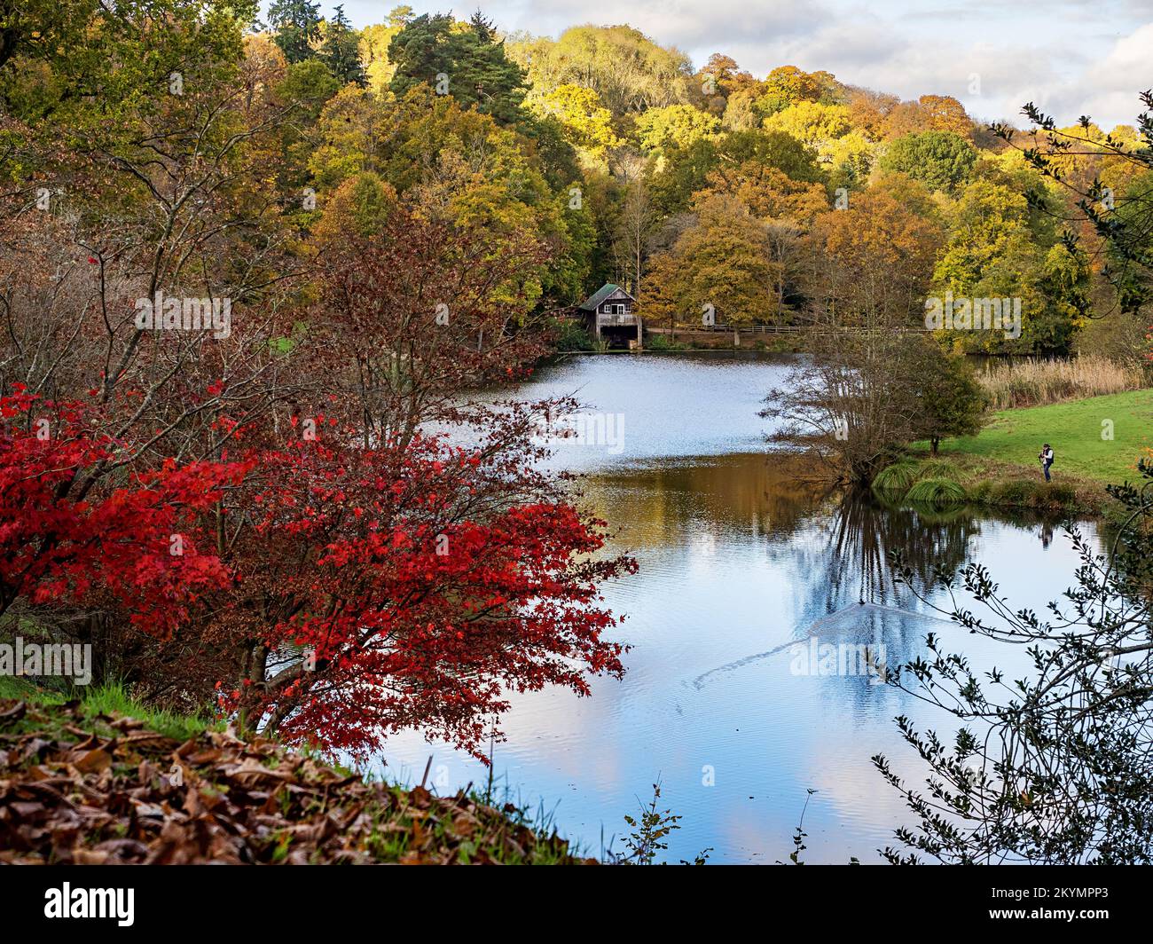 Goldaming surrey hi-res stock photography and images - Alamy
