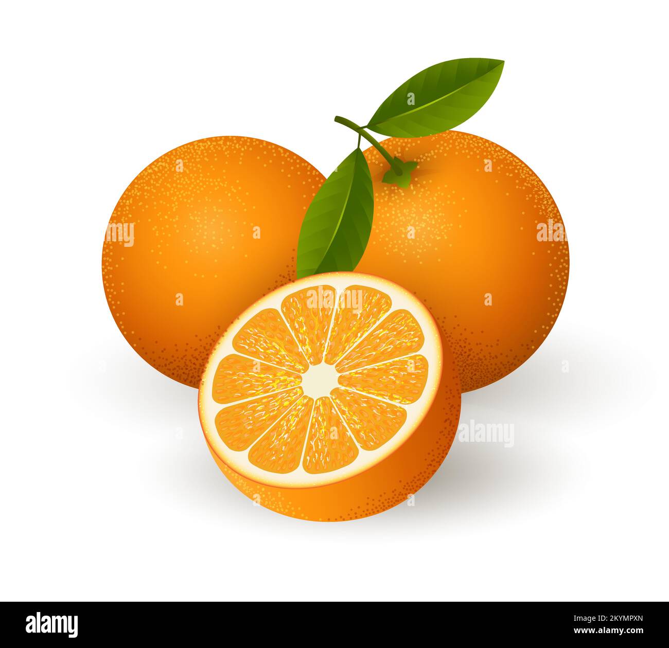 Ripe citrus fruits leaves Stock Vector Images - Alamy