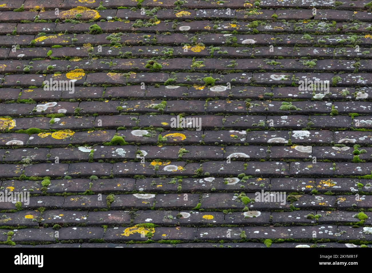 BACKGROUND TEXTURE - Old grey clay roof tiles Stock Photo - Alamy