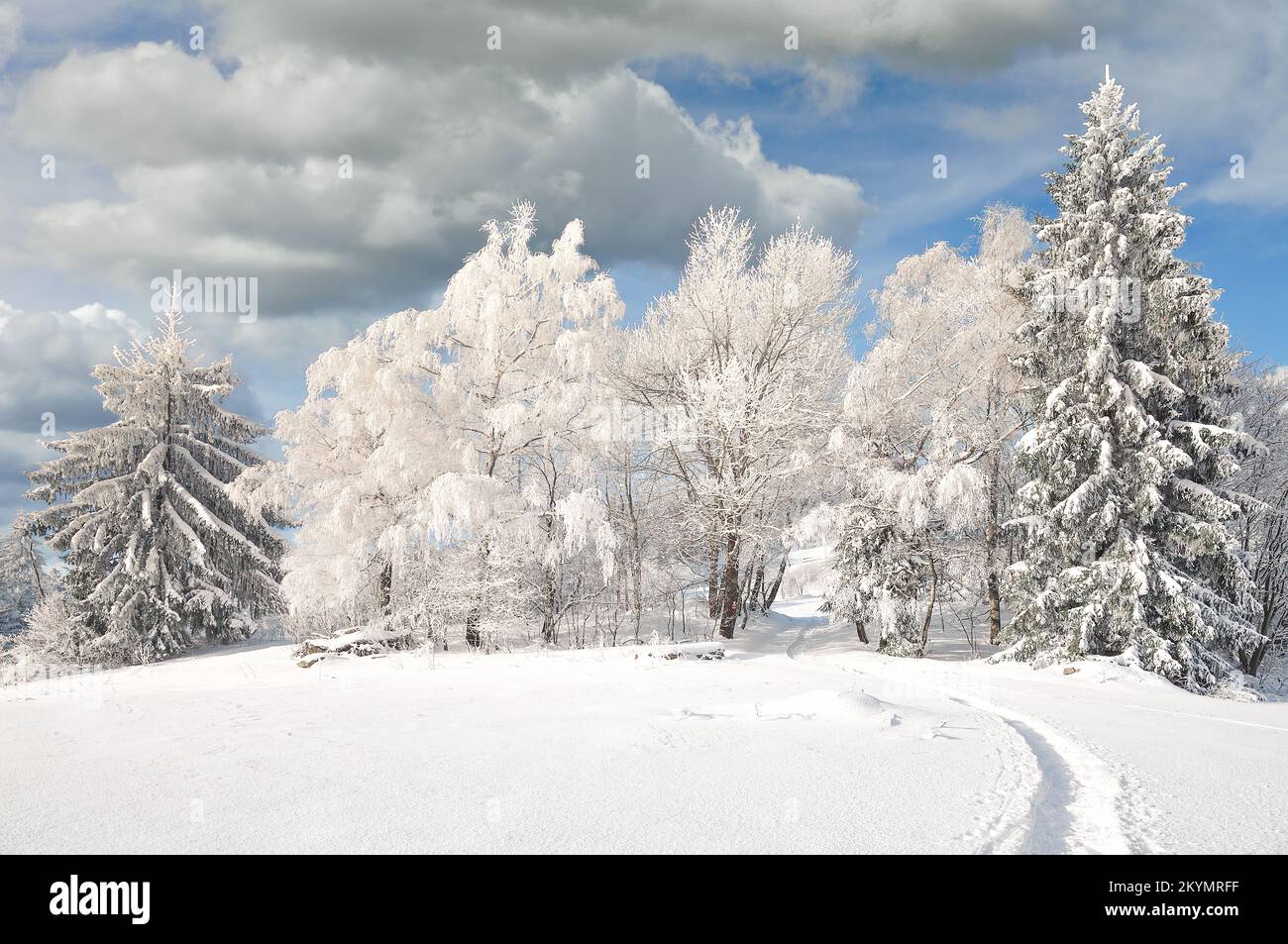 Winter in Bavarian Forest,Arber region,Bavaria,Germany Stock Photo - Alamy