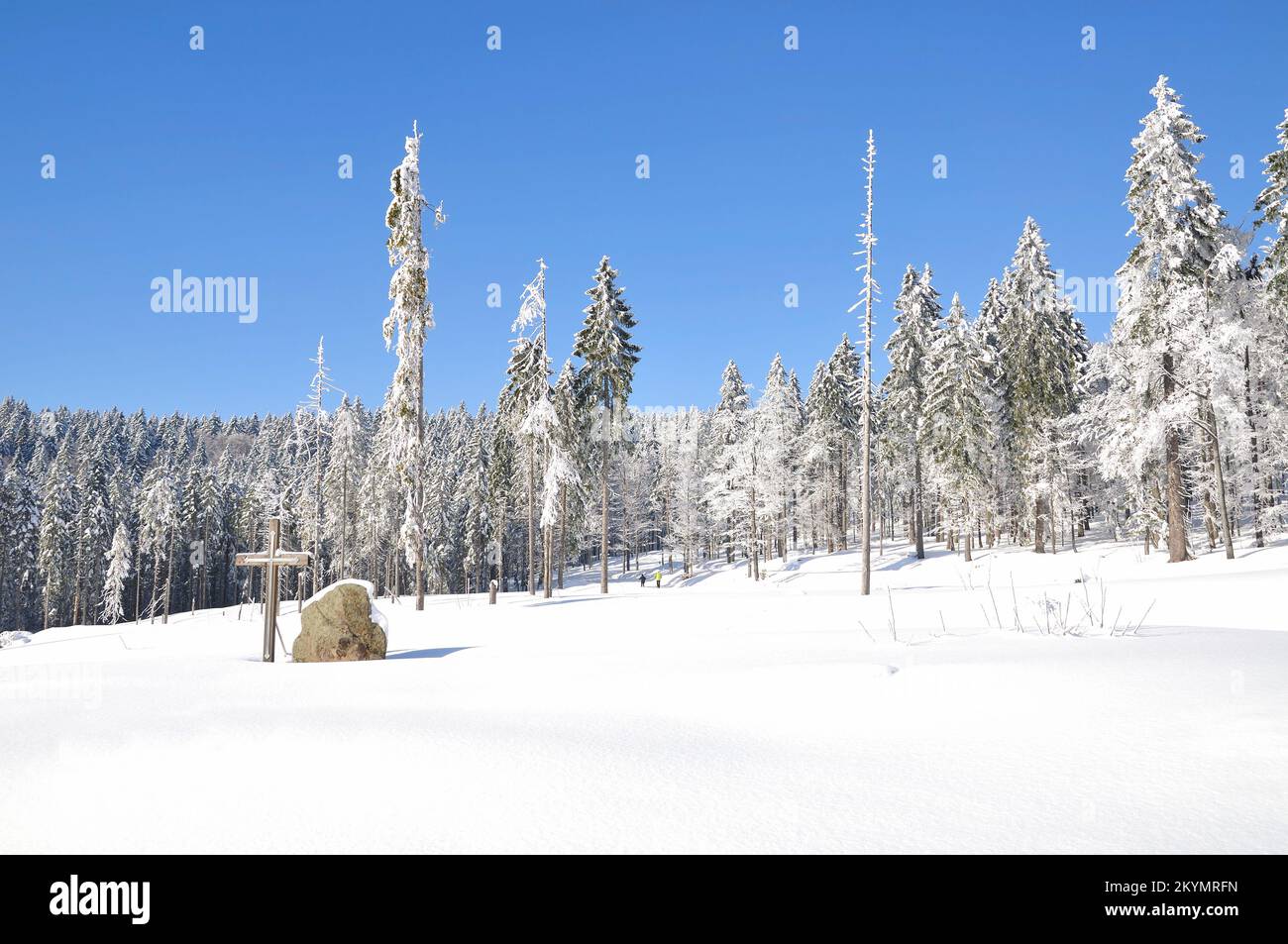 Winter in Bavarian Forest at Bretterschachten Cross Country Skiing area ...