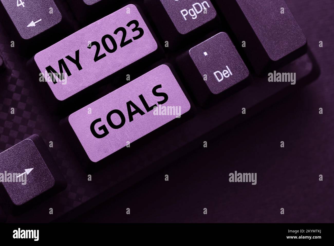 Conceptual display My 2023 Goals. Business showcase setting up personal ...