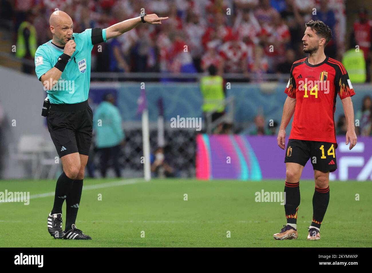 Doha, Qatar, 01/12/2022, Referee Anthony Taylor and Belgium's Dries ...