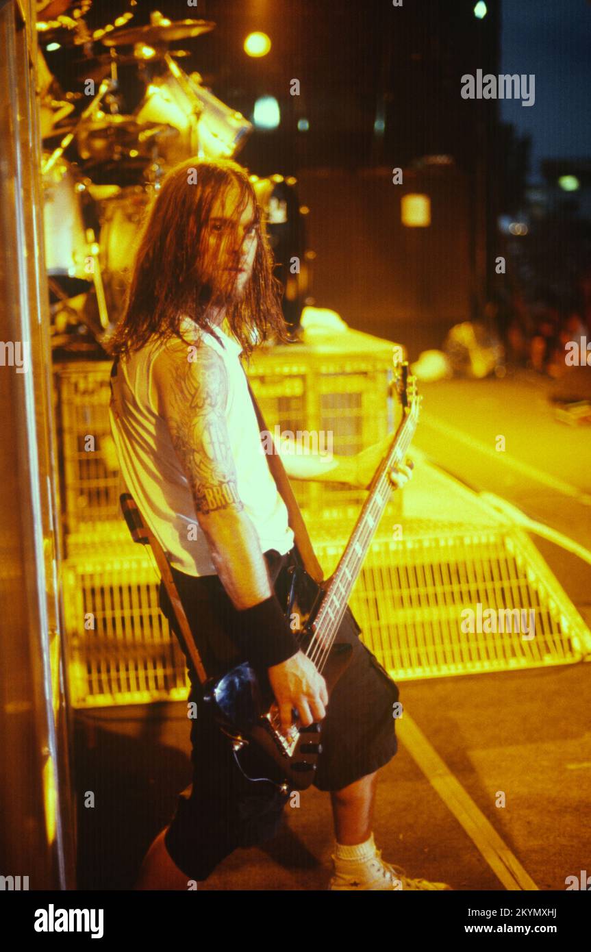 Rex brown pantera hi-res stock photography and images - Alamy