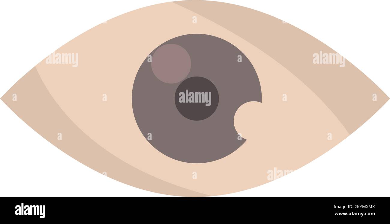 eyeball vision icon Stock Vector Image & Art - Alamy